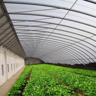 Cina Pacchetto Peso lordo 2000.000kg Serra leggera a luce solare per la coltivazione di ortaggi in vendita