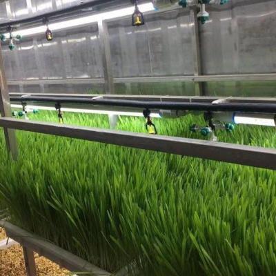 China Invernadero de contenedores de agricultura vertical en el diseño de contenedores de transporte marítimo en venta