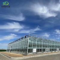 China Venlo Type Glass Greenhouse Customization with External Shading System for sale