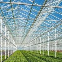 China Venlo Type Glass Greenhouse Customization with External Shading System for sale
