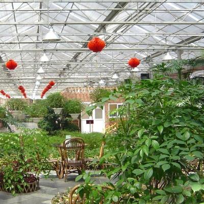 China Venlo-glaskassen op maat met extern schaduwstelsel Te koop