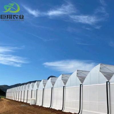 Hydroponic Planting Multi Span Greenhouse for Vegetables/Tomato 200 Microns Film Cover