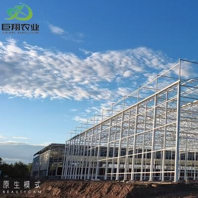 Cina Serra a doppio strato con tetto ad arco per piante medicinali e funghi in vendita