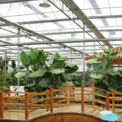 Cina Juxiang foglio PC Board Greenhouse per sistemi di coltivazione idroponica fragole personalizzato in vendita