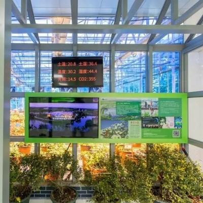 Cina Juxiang foglio PC Board Greenhouse per sistemi di coltivazione idroponica fragole personalizzato in vendita