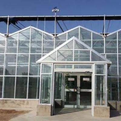 Cina Juxiang foglio PC Board Greenhouse per sistemi di coltivazione idroponica fragole personalizzato in vendita