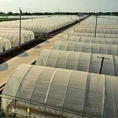 Cina Juxiang foglio PC Board Greenhouse per sistemi di coltivazione idroponica fragole personalizzato in vendita