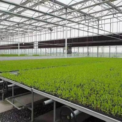 Cina Serre di vetro per semini di lunghezza multipla per il riscaldamento dell'acqua calda per il controllo dello stroma idroponico in vendita