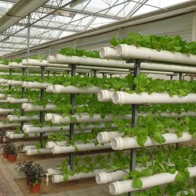 Cina Serra con tetto a vari intervalli a umidità controllata in stile Venlo per piantine idroponiche in vendita