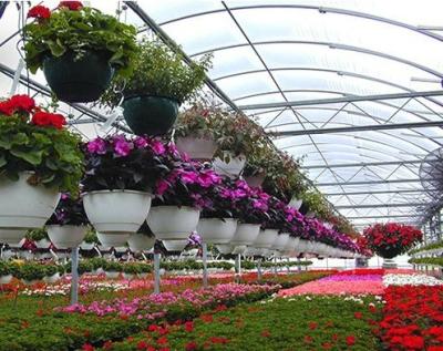 Cina Serra per la coltivazione di pomodori idroponica multi-span e mono-pan destinata al mercato dell'acquacoltura in vendita