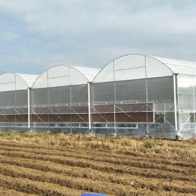 Cina Serra a un'unica arcata per la coltivazione dei fiori in vendita