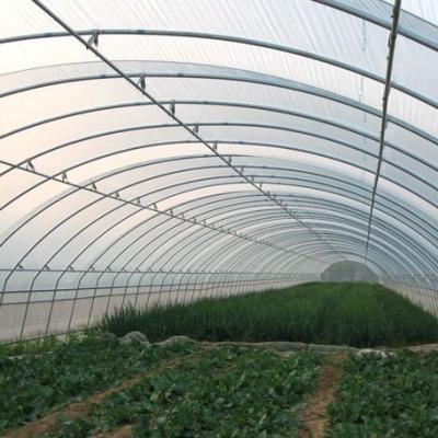 Cina Sistema idroponico a doppia pellicola personalizzabile per la produzione di pepe in vendita
