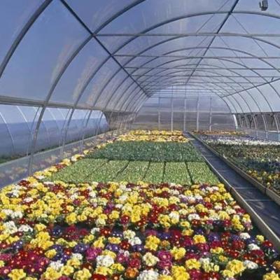 Cina Serra a doppio strato per la coltivazione senza suolo di pomodori cetrioli coltivazione di fiori in vendita