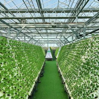 Proper Intelligent Garden Glass Frame Agriculture Greenhouse Sale 100.000kg Gross Weight