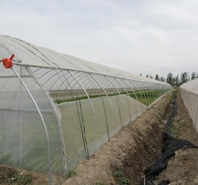Double-Arch Pepper and Flower Hydroponic Greenhouse with Multi Span Roofing Shape
