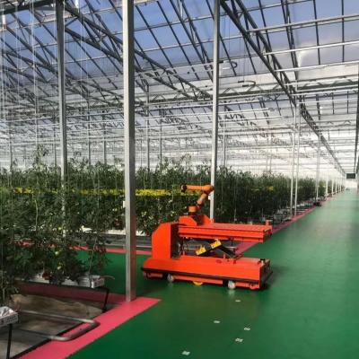 Cina Serra di vetro multi-spano di Venlo con costi di spedizione e tempi di consegna stimati in vendita
