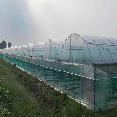 Cina 2000.000kg di pacchetto Peso lordo Sistema idroponico a panella singola per serre a doppio arco in vendita