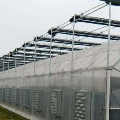 Cina 2000.000kg di pacchetto Peso lordo Sistema idroponico a panella singola per serre a doppio arco in vendita