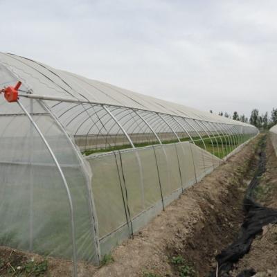 Cina Sistema idroponico a pellicola di riscaldamento temporanea per la coltivazione di ortaggi e fiori in serra in vendita