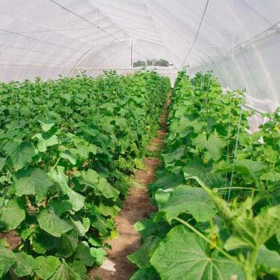 Cina Sistema idroponico anti gocciolante adatti all'inverno di pollame e bestiame in vendita