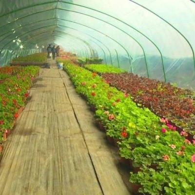 Cina Sistema idroponico anti gocciolante adatti all'inverno di pollame e bestiame in vendita