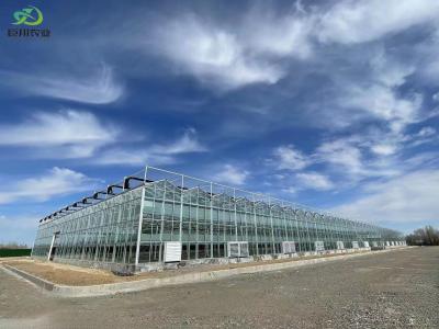 Cina Instalazione di piantagione a temperatura controllata da Juxiang e soluzione di piantagione conveniente in vendita