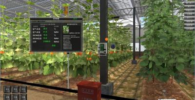 Cina Instalazione di piantagione a temperatura controllata da Juxiang e soluzione di piantagione conveniente in vendita