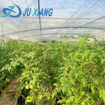 JX-H0062 Customizable Size Hydroponic Cucumber Farming Greenhouse for Growing Cucumbers