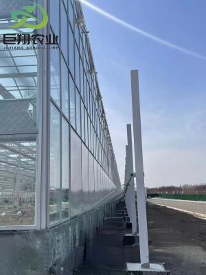 Cina Serra di semina idroponica a tenda umida con opzioni di personalizzazione e dimensioni del pacchetto in vendita