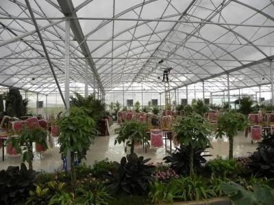 Cina Serra di semina idroponica a tenda umida con opzioni di personalizzazione e dimensioni del pacchetto in vendita