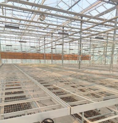 Cina Struttura in acciaio Serra per la produzione di pepe con metodo di coltivazione idroponica in vendita
