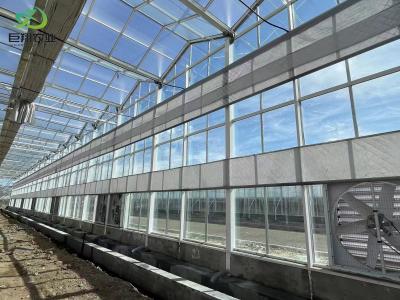 China Juxiang prime s Sistema de Estufas de Ambiente Controlado dentro de Materiais de Construção à venda