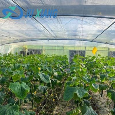 Cina JX-H0068 Serra a tecnologia antidrippo per la personalizzazione di fiori e pomodori offerta in vendita