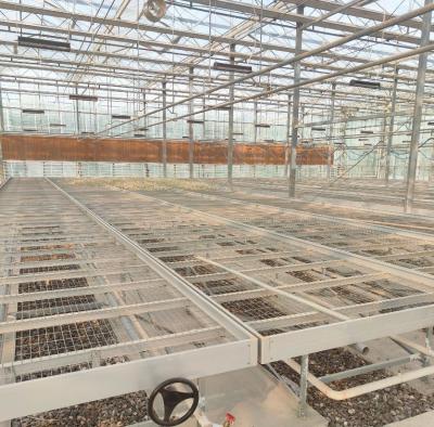 Cina - Fatto serra idroponica con tecnologia anti-gocciolato pieno pagamento coltivazione di verdure in vendita
