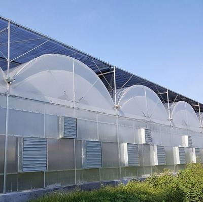 Cina Struttura a doppio arco - serra idroponica realizzata per le esigenze di produzione agricole miste in vendita