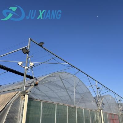 Cina Serra a doppio strato per la coltivazione del pepe 12.09cm * 2.35cm * 2.39cm Dimensione del pacchetto in vendita