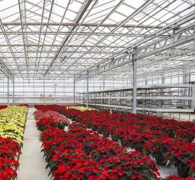 Cina Massimizza il rendimento dei pomodori con la tecnologia anti gocciolate serra e riscaldamento temporaneo in vendita