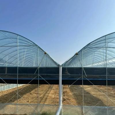 Cina Massimizza il rendimento dei pomodori con la tecnologia anti gocciolate serra e riscaldamento temporaneo in vendita