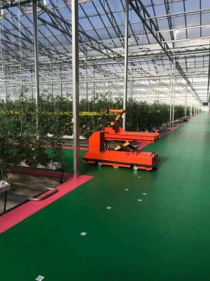 Cina La serra perfetta per la coltivazione idroponica/senza suolo/stromale in vendita