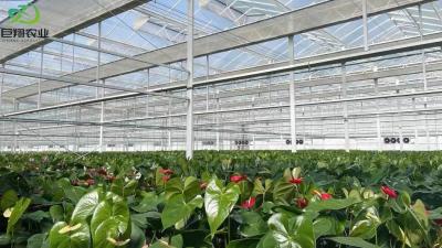 中国 オーダーメイド 要求 噴霧冷却 苗木のための植樹家 鋼鉄構造 オーダーメイド 販売のため