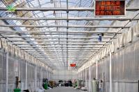 China Double Layer Illuminated Growing Structure for Hydroponic Seedlings in Multi Span for sale