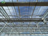 China Double Layer Illuminated Growing Structure for Hydroponic Seedlings in Multi Span for sale