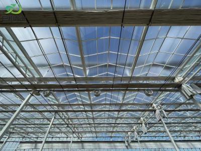 Cina Struttura di coltivazione a doppio strato illuminata per piantine idroponiche in multi-span in vendita