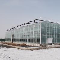 China Continuous Heating Aquaculture Greenhouse for Tomato Hydroponic Growing Solution for sale