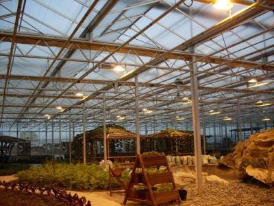 Cina Sistema di coltivazione di pomodori cetrioli lattuga Peso lordo 2000.000kg Richiesta personalizzazione in vendita