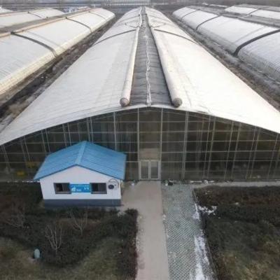 Aquaculture Double Arch Beam Sunlight Greenhouse with Snow Vibrator in Heavy Snow Area