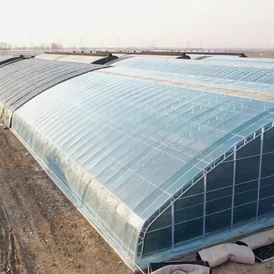 Cina Prodotto su richiesta di personalizzazione Pellicola di galleria in plastica per serre agricola multi-span in vendita