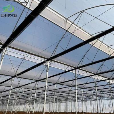 Cina Richiesta personalizzata Serra per film di galleria in plastica per la produzione agricola multi-span in vendita