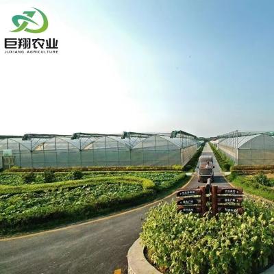 Cina Richiesta personalizzata Serra per film di galleria in plastica per la produzione agricola multi-span in vendita