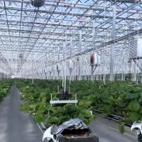 China Multi-Span Hydroponics Growing with Good Light Transmission and Customizable Options for sale